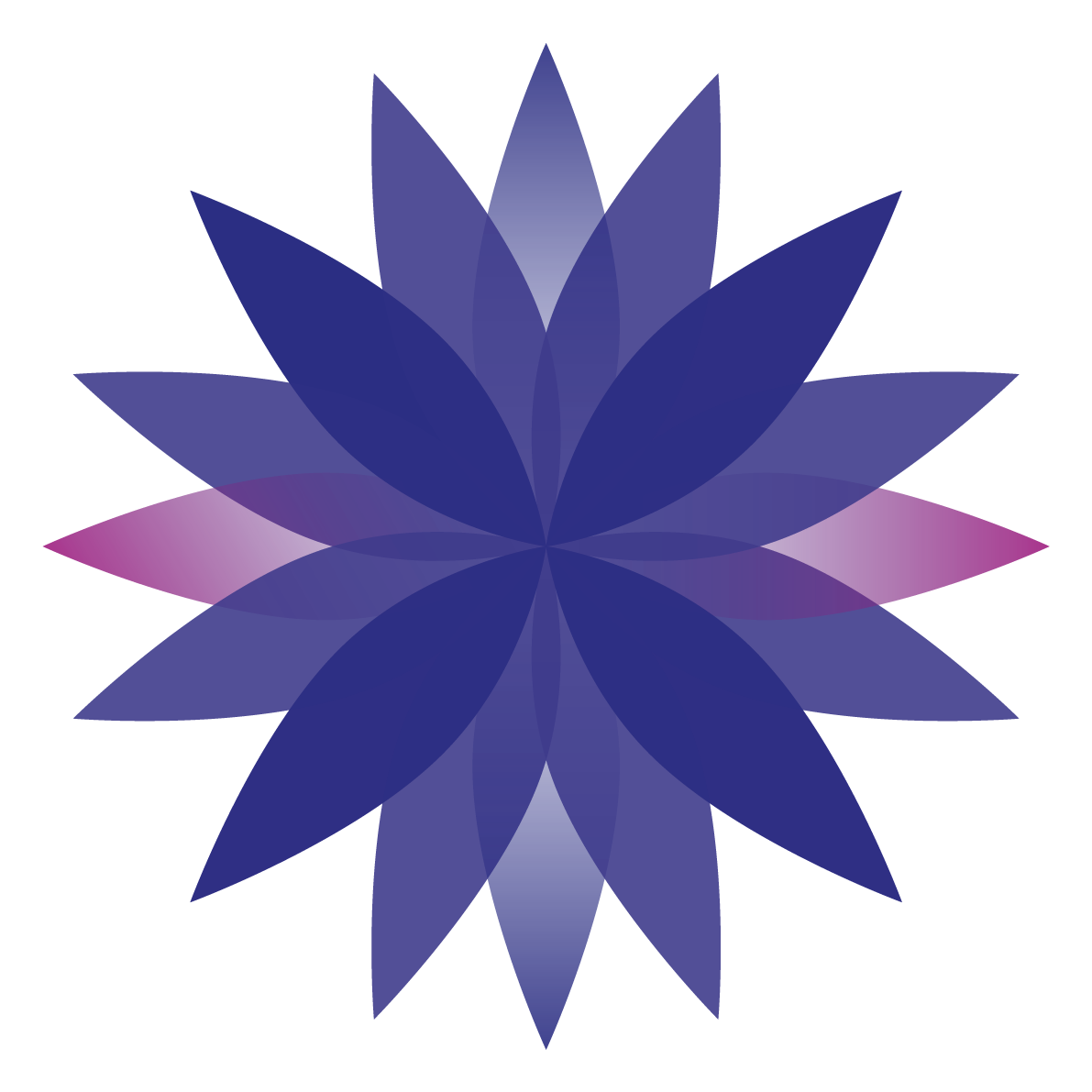 Indigo Governance - Board, governance and company secretarial services