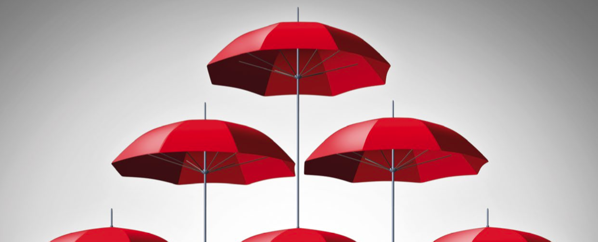 Subsidiary structure – Indigo Governance